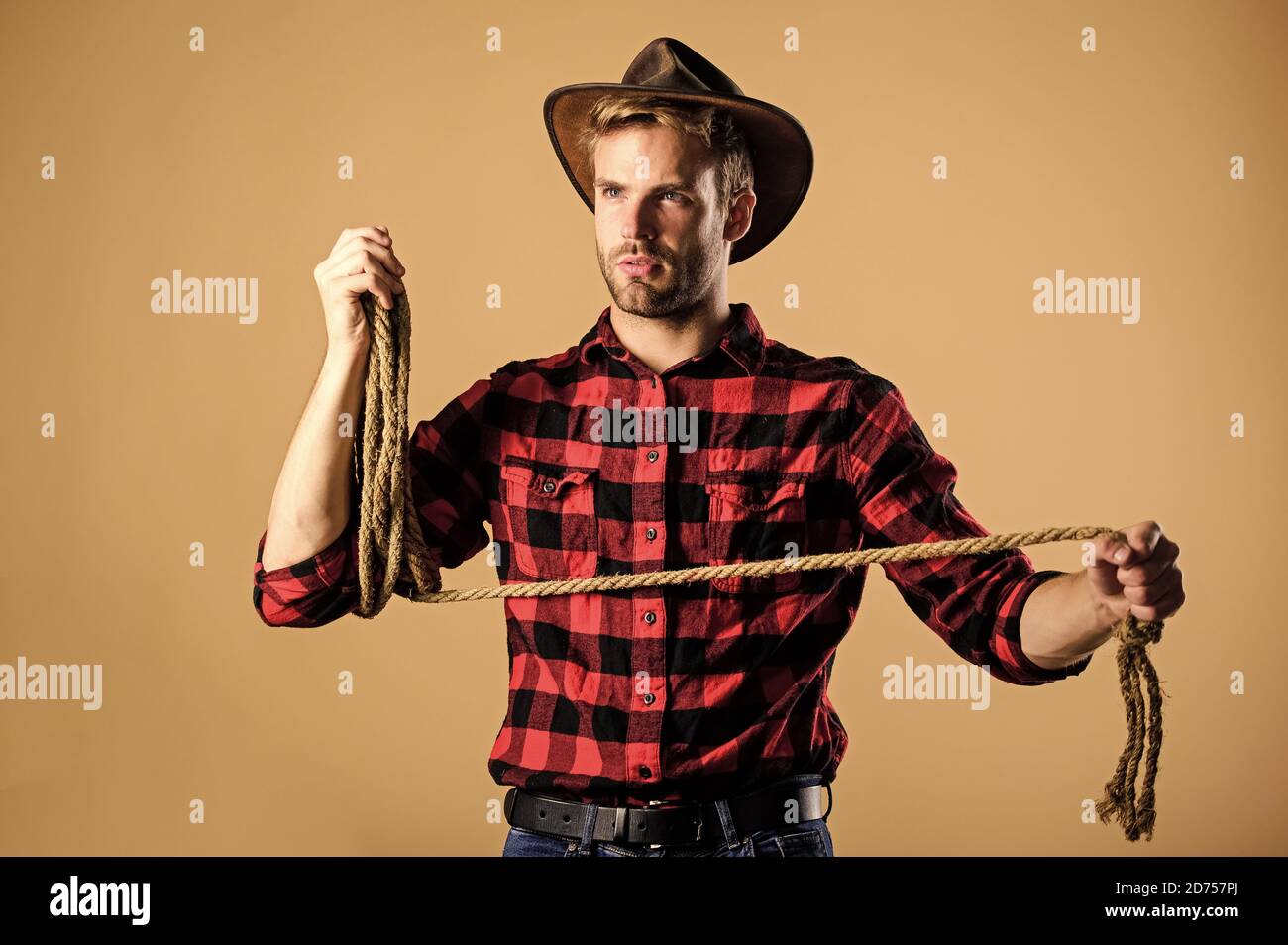 Competitive cowboy hi-res stock photography and images - Alamy
