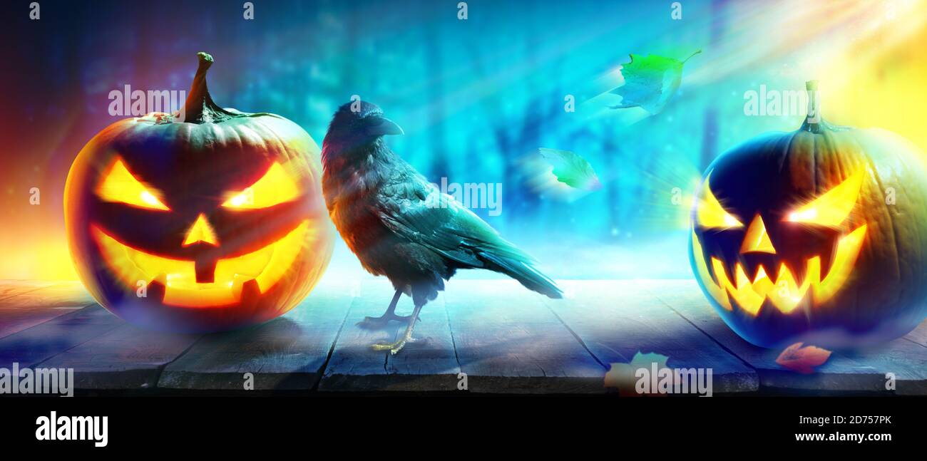 Halloween background with raven in a spooky night Stock Photo - Alamy