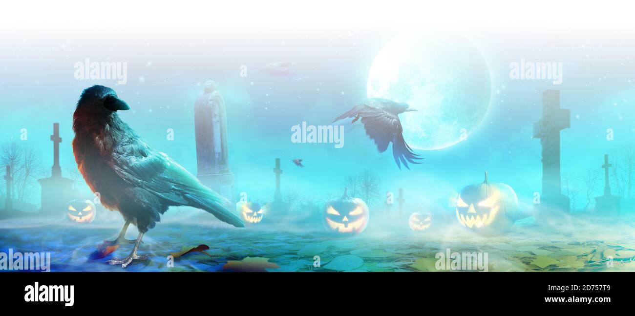 Halloween background with raven in a spooky night Stock Photo - Alamy