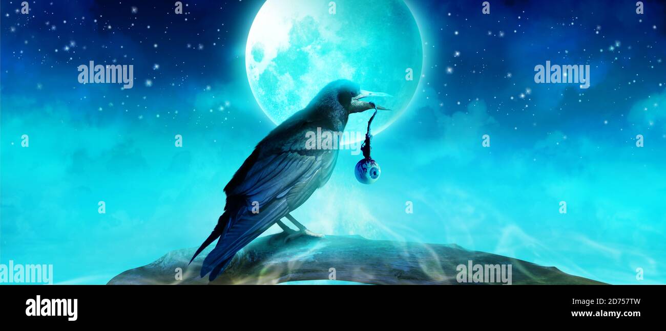 Halloween background with raven in a spooky night Stock Photo - Alamy