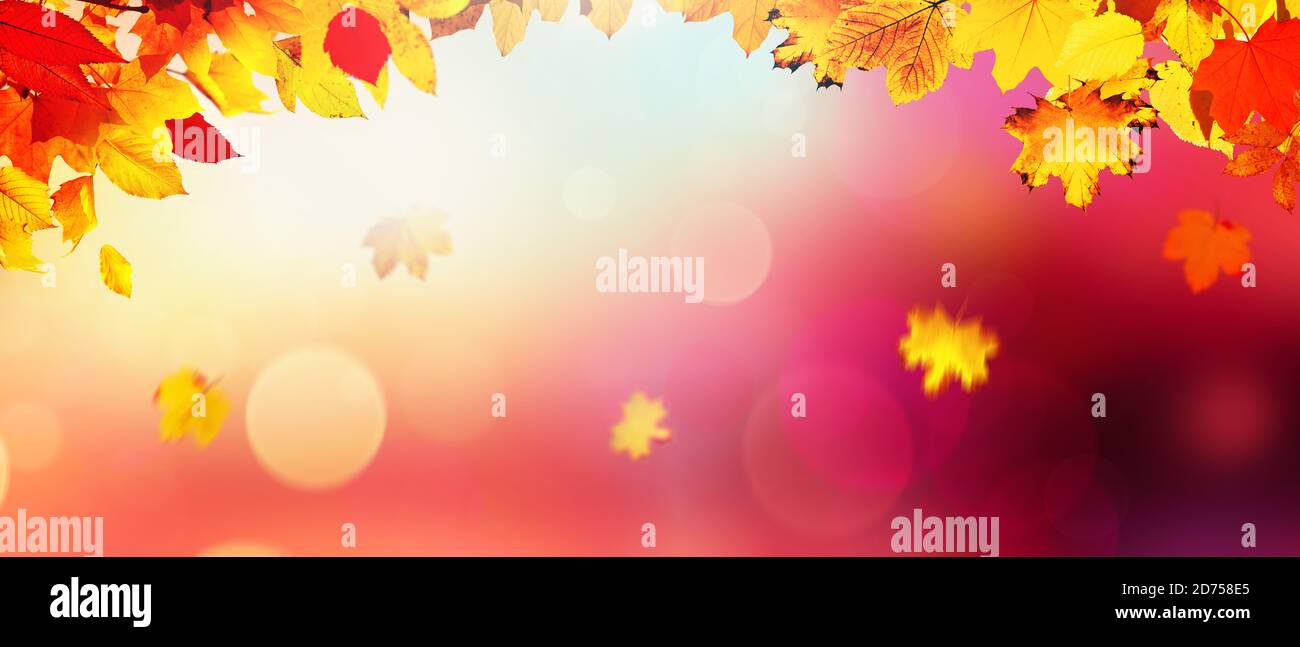 Beautiful autumn background with yellow and red leaves Stock Photo - Alamy