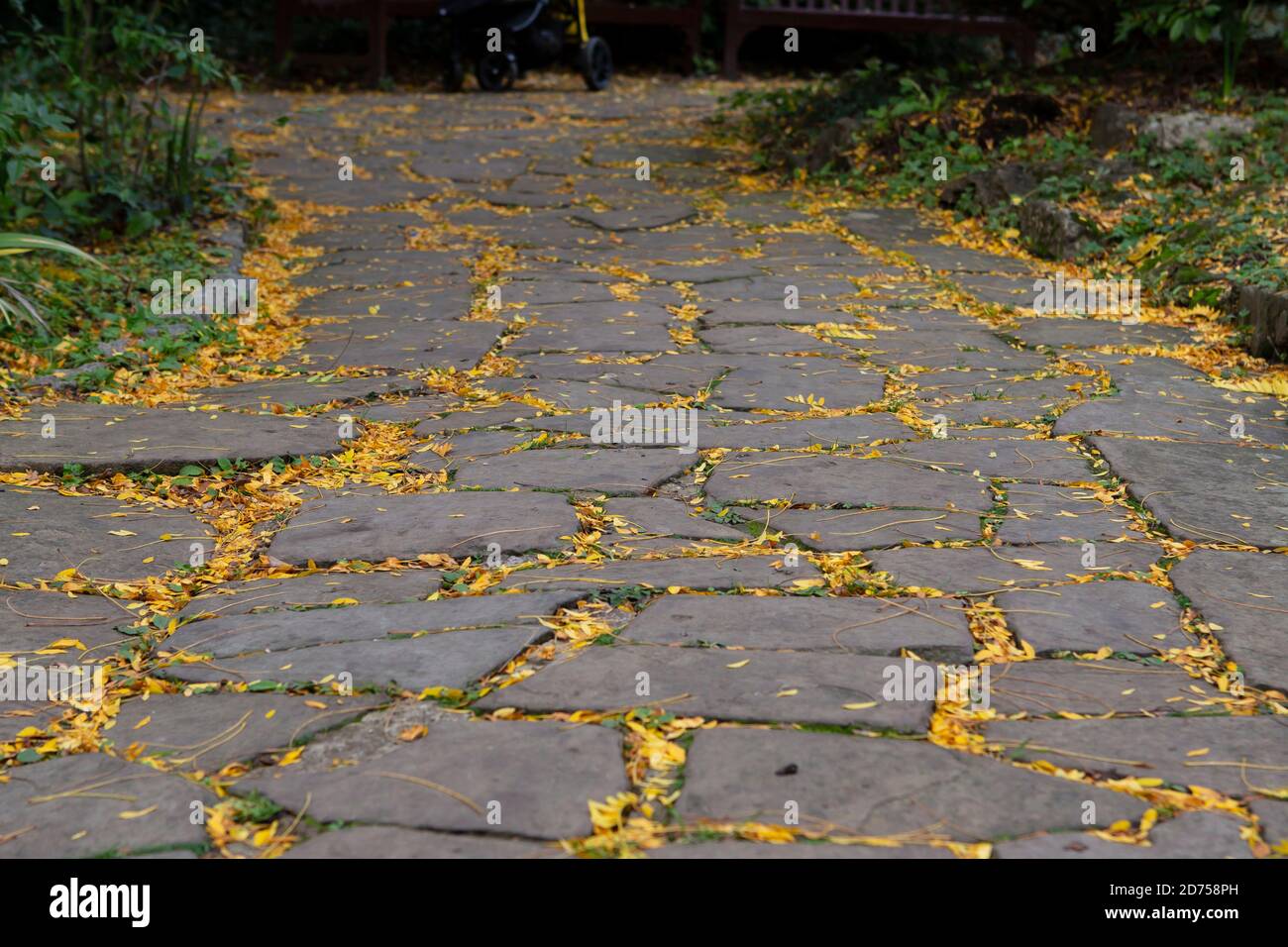 Crazy paving pattern hi-res stock photography and images - Alamy