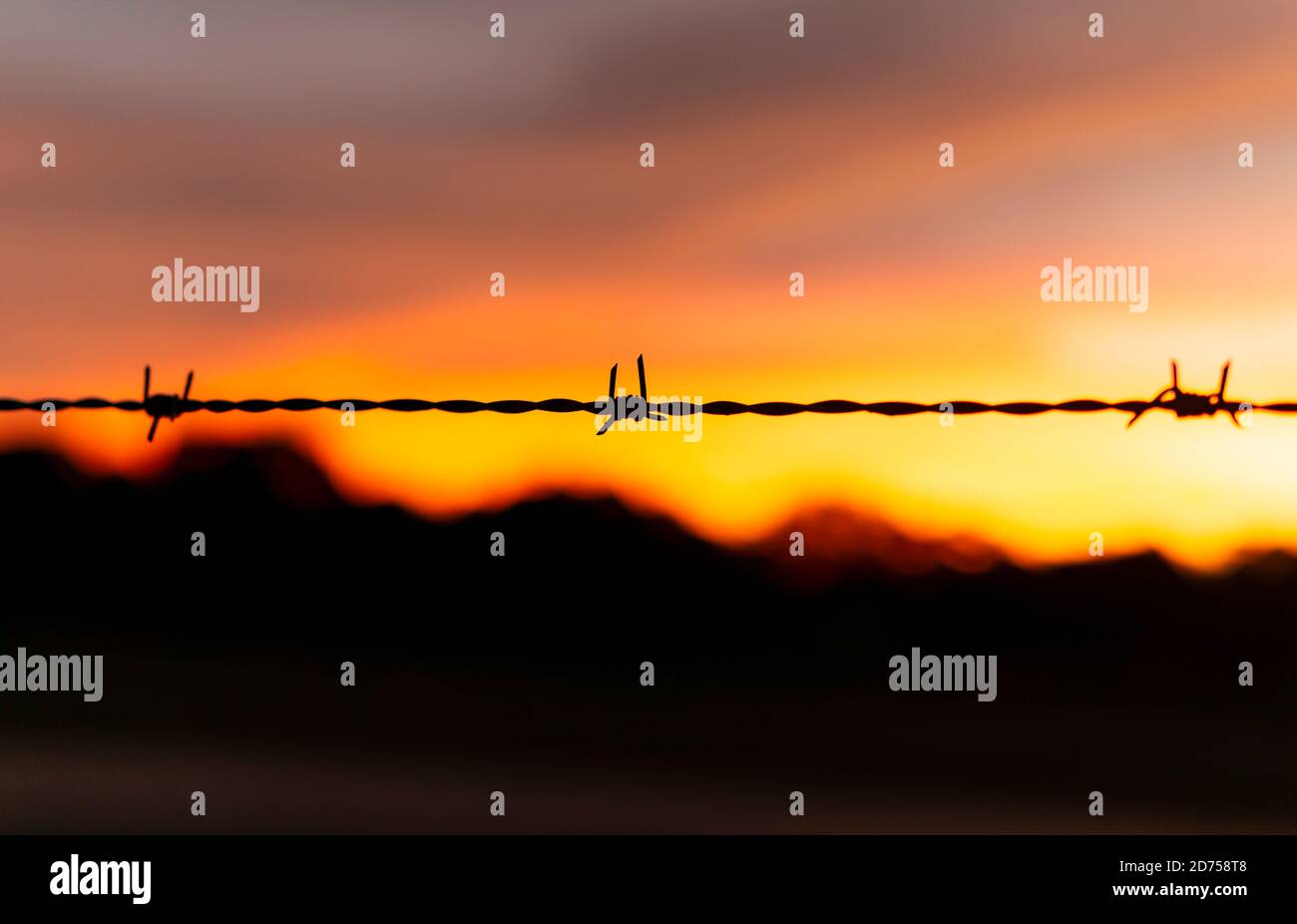 Creative Photograph of Barbed Wire With Colorful Sunset Stock Photo - Alamy