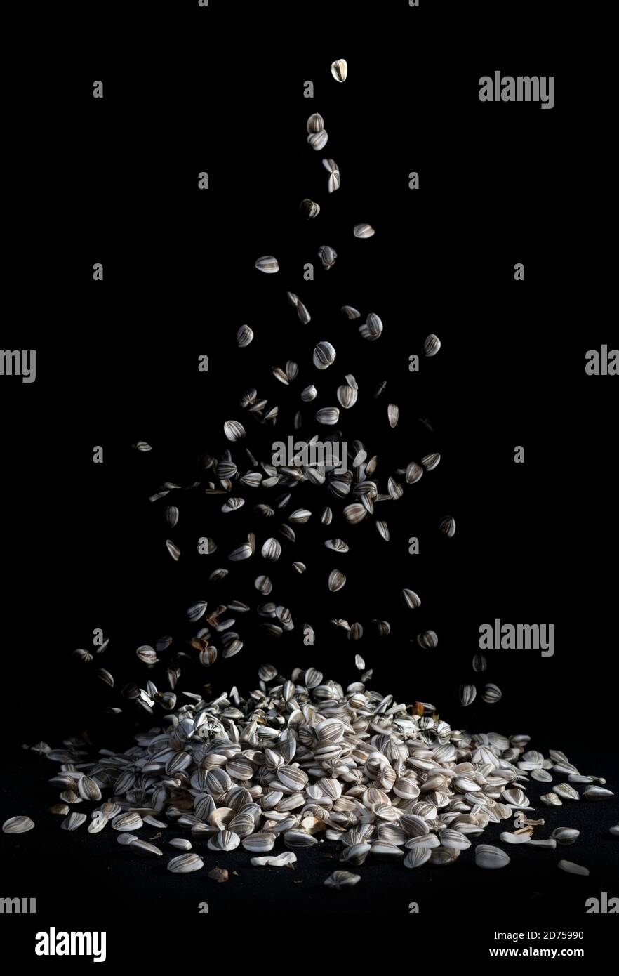 Sunflower seeds woman hi-res stock photography and images - Alamy
