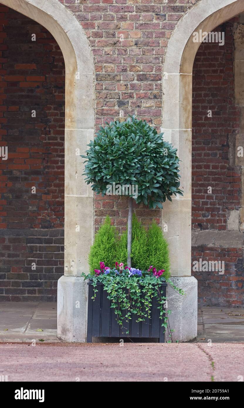 James pot hi-res stock photography and images - Alamy