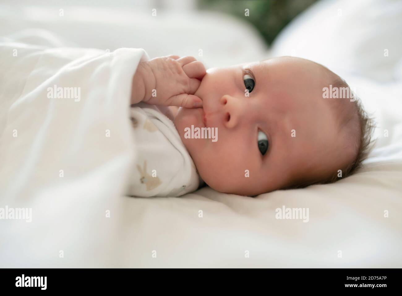 A Sweet newborn baby girl sleeping in white bed Stock Photo - Alamy
