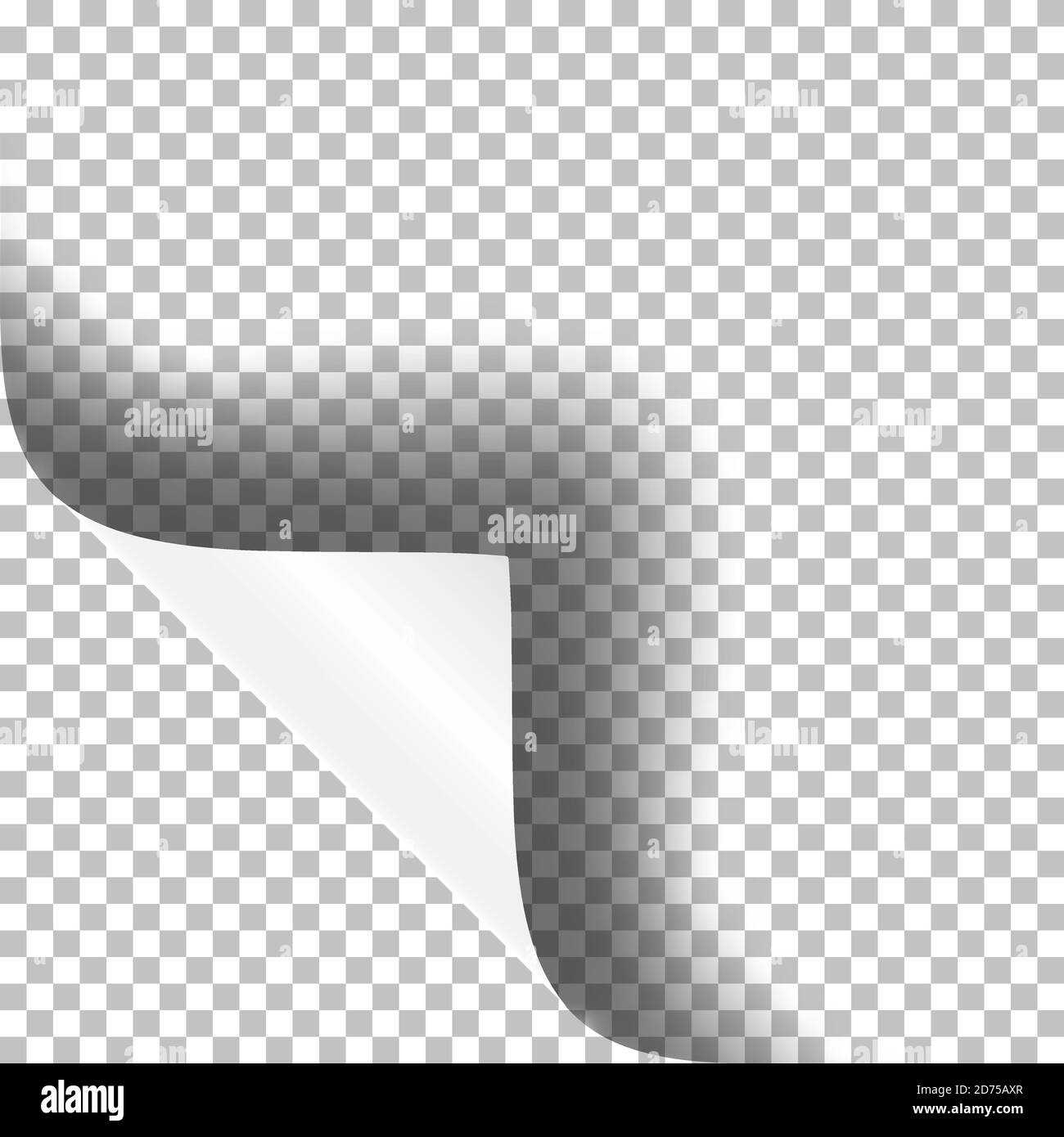 Curly corner of a paper sheet, realistic vector illustration Stock ...