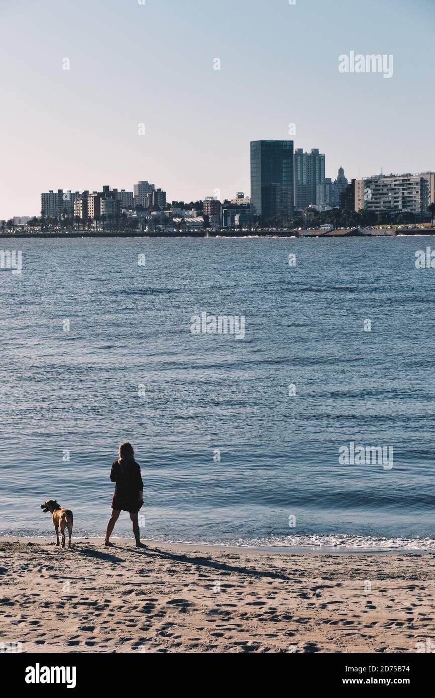 Uruguay montevideo city bay view hi-res stock photography and images ...