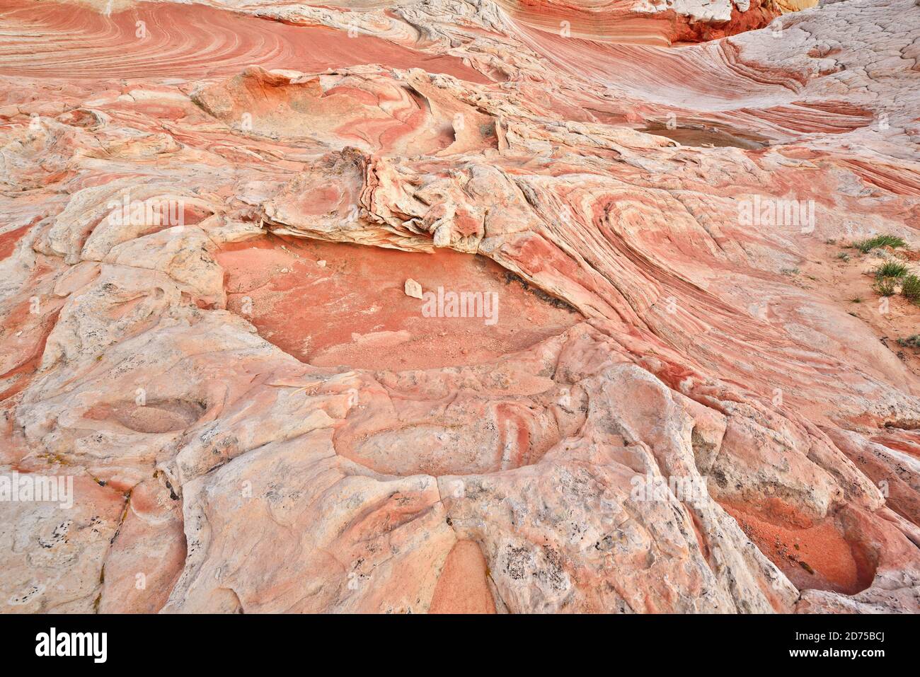 White Pocket Rock Formations in the Vermilion Cliffs National Monument ...