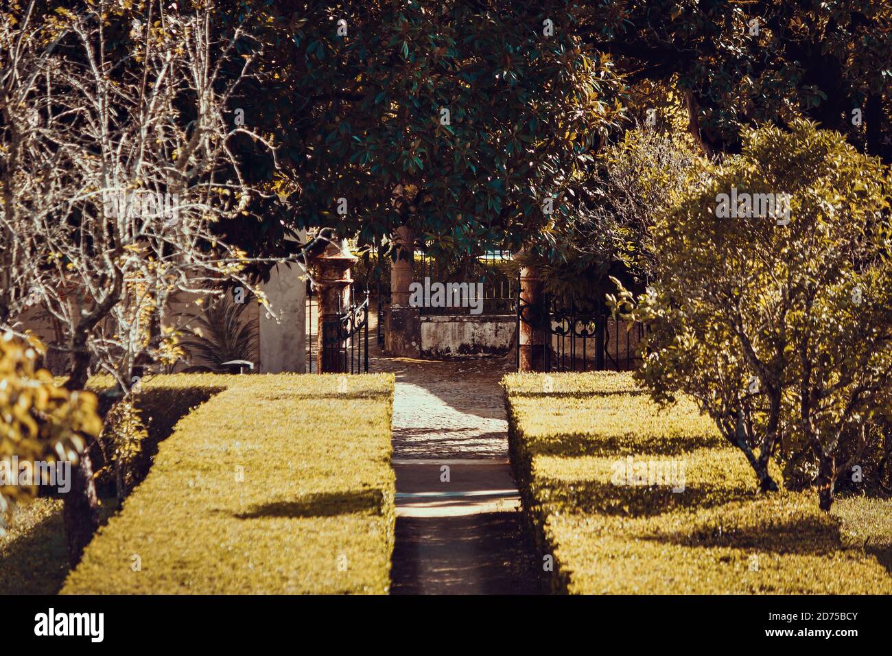 Garden shrub formal pathway hi-res stock photography and images - Alamy