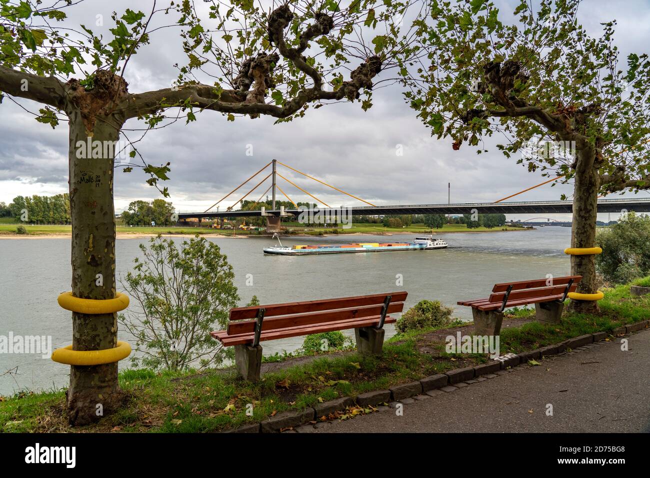 Motorway A40 Rhine bridge Neuenkamp near Duisburg, cable-stayed bridge ...