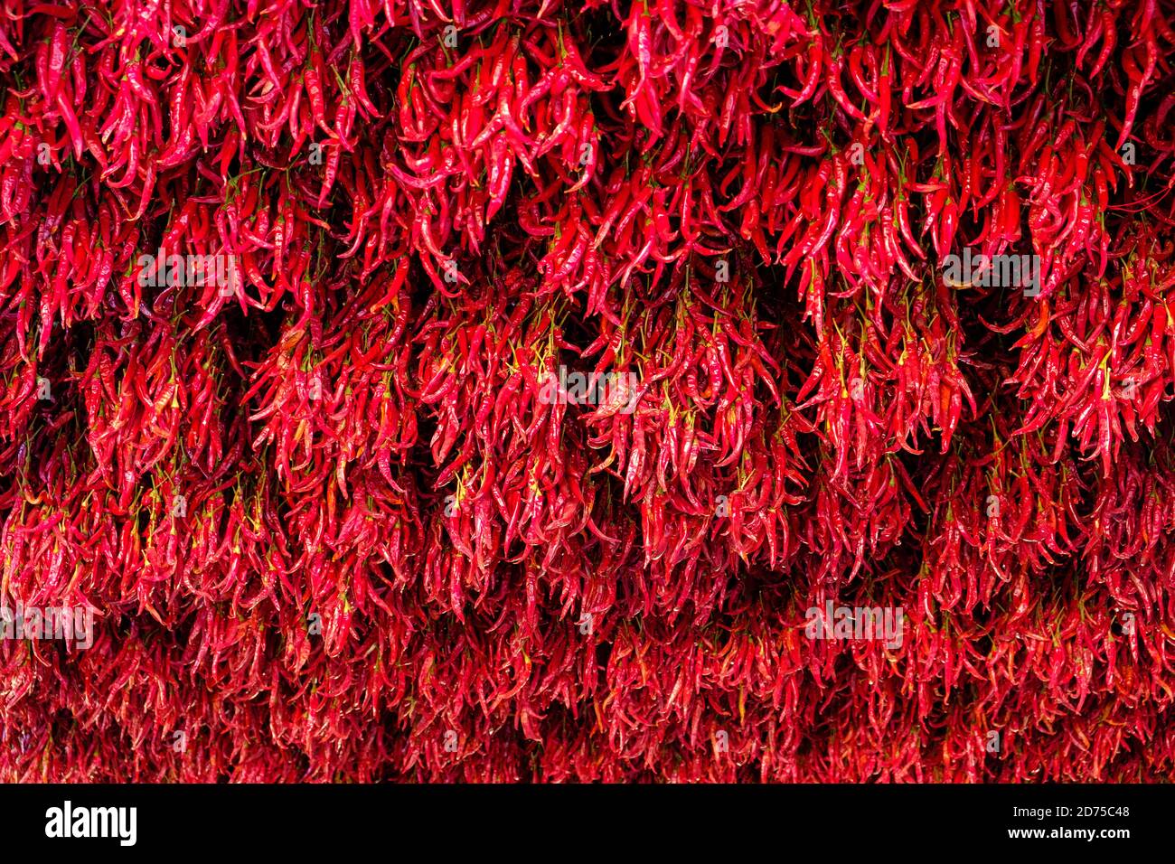 peppers drying outside as traditional Stock Photo - Alamy