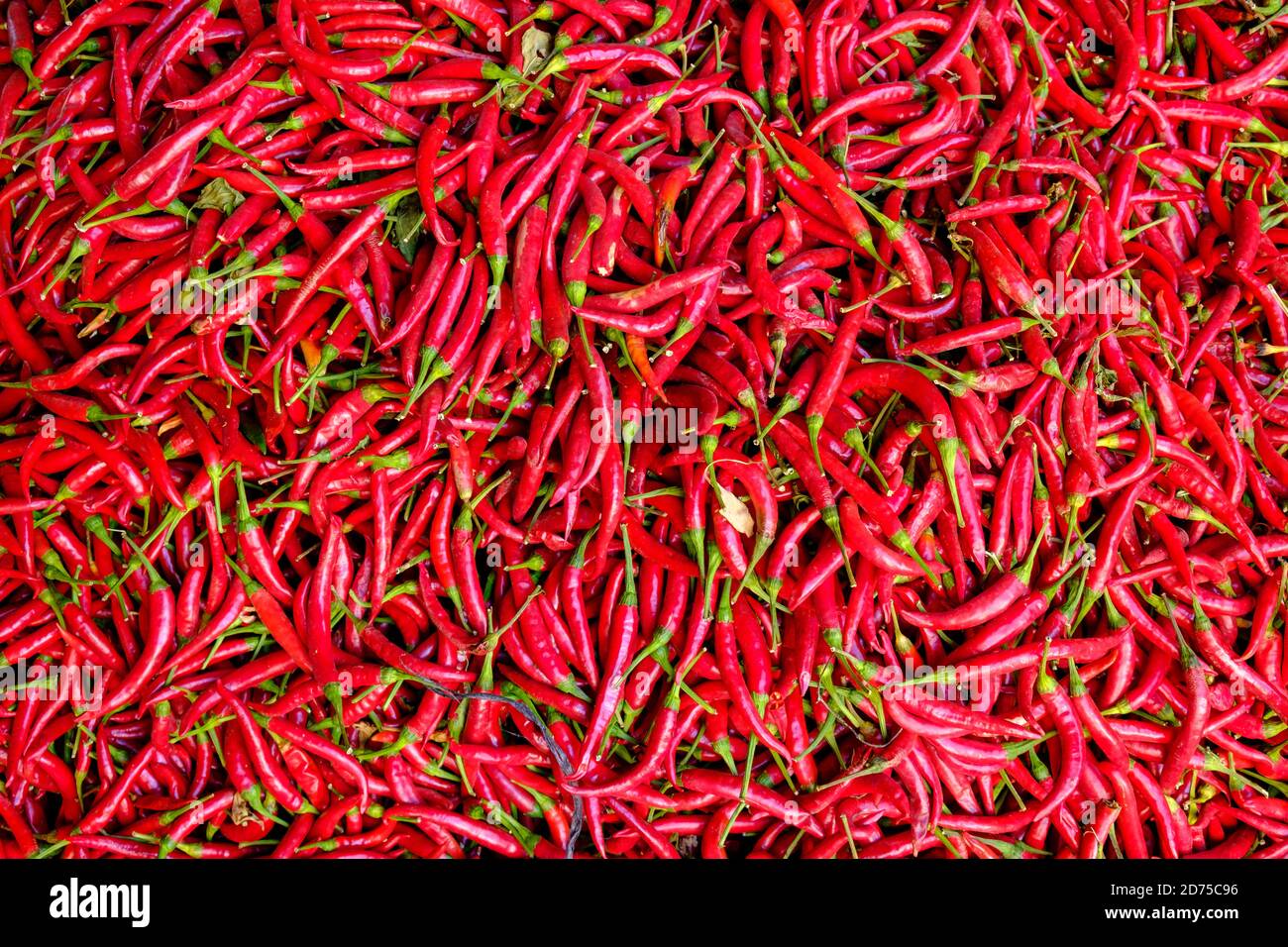 peppers drying outside as traditional Stock Photo - Alamy