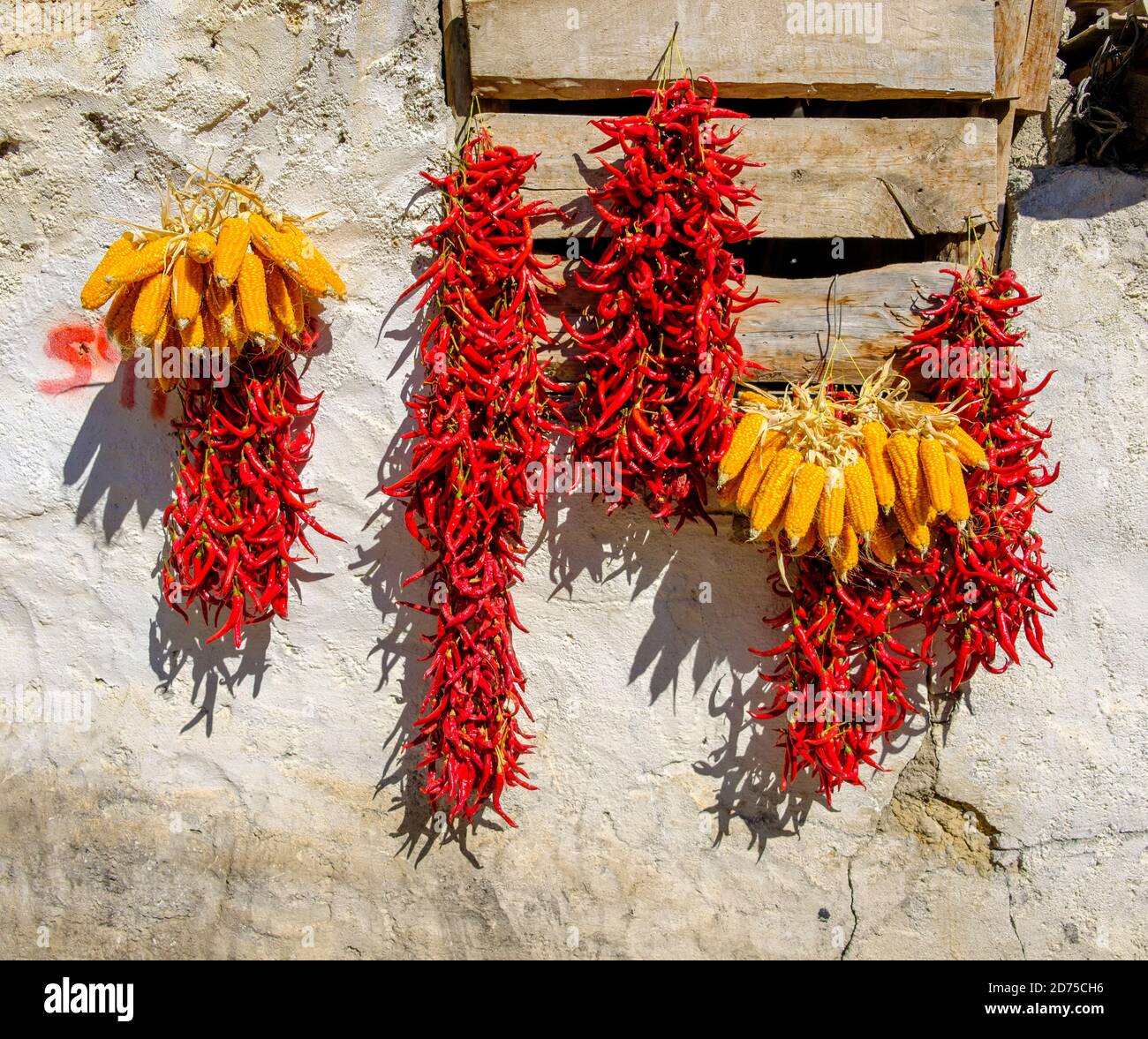 peppers drying outside as traditional Stock Photo - Alamy