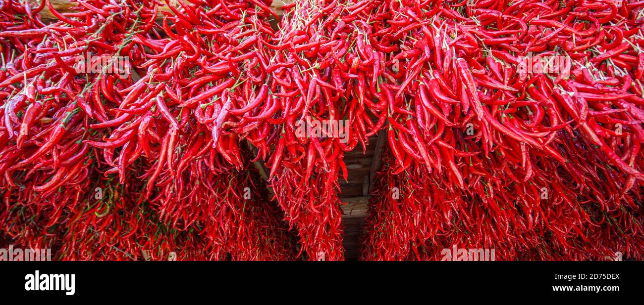 peppers drying outside as traditional Stock Photo - Alamy
