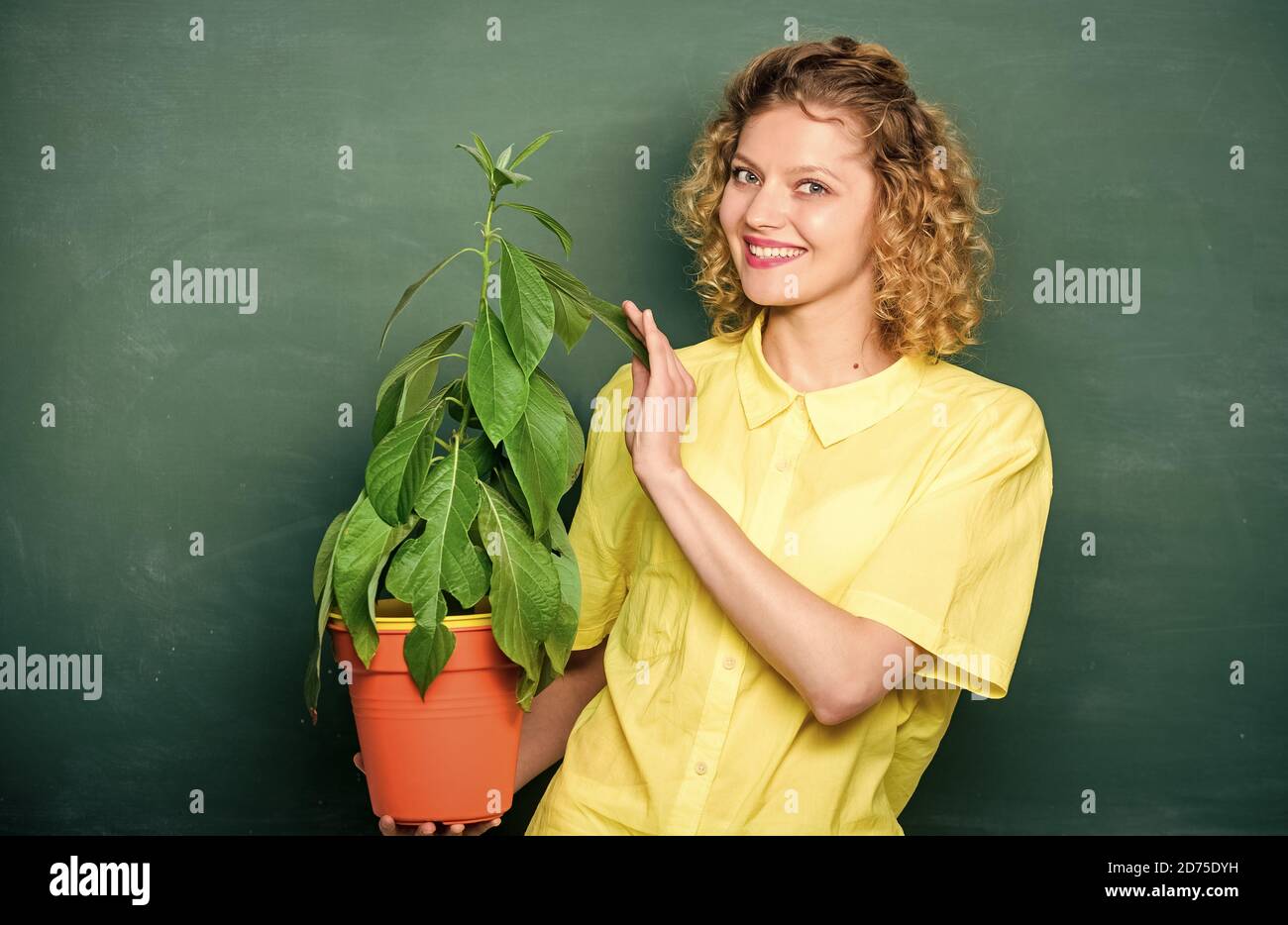 tree of knowledge. school learning ecology. environmental education ...