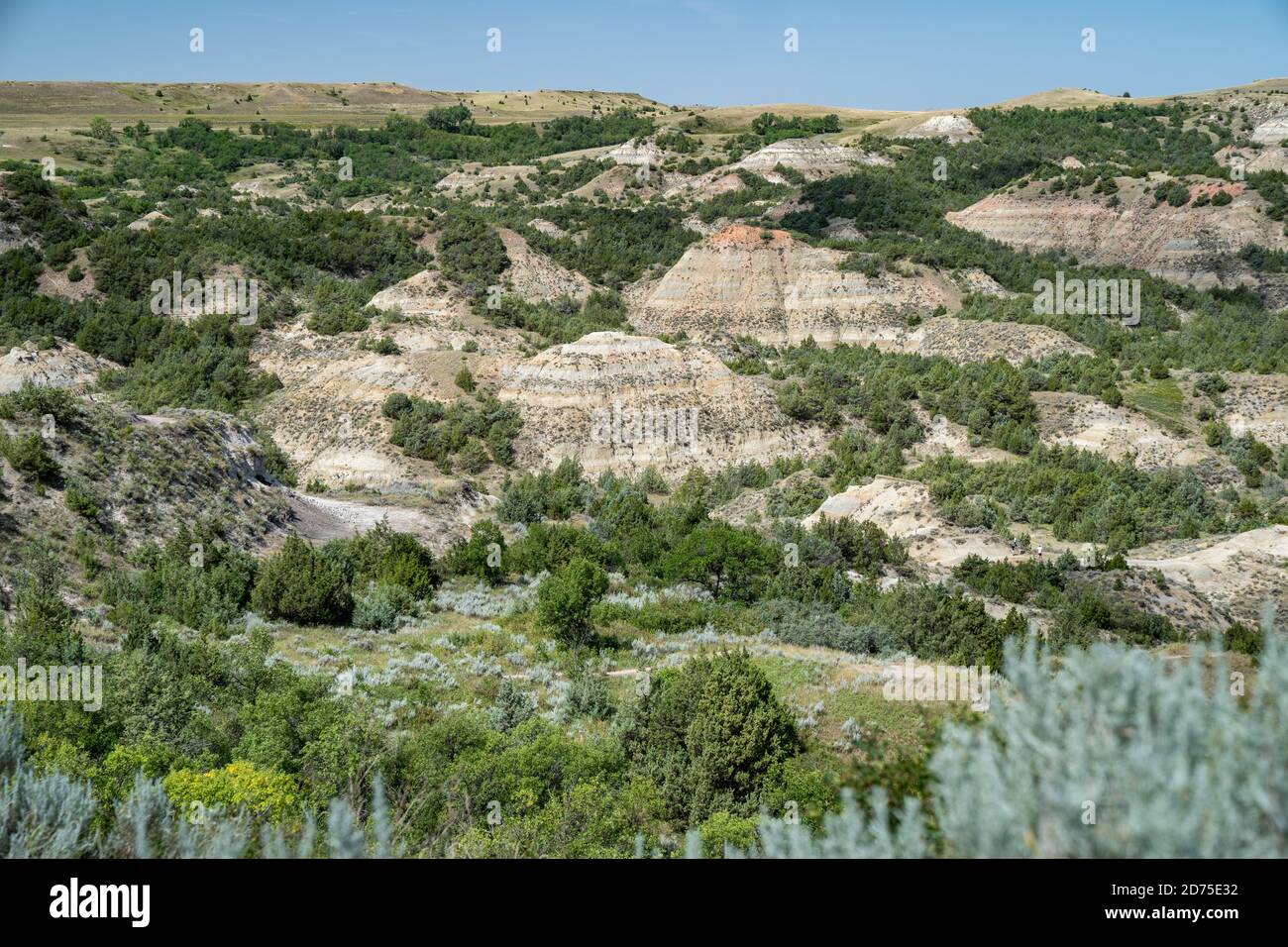 Theodore Roosevelt National Park North Dakota Stock Photo - Alamy