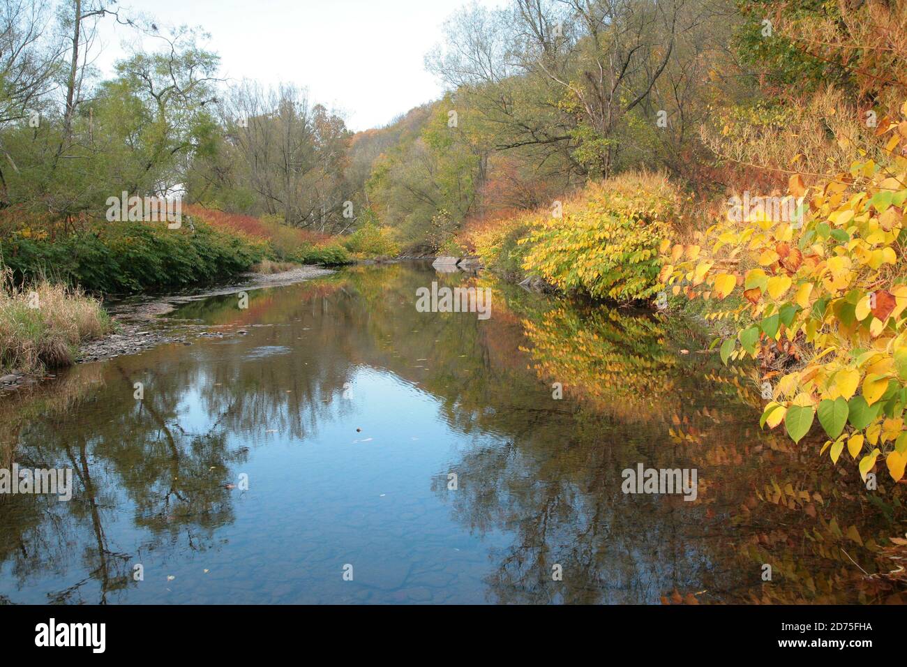 Beautiful scene of river and Fall colors Stock Photo - Alamy