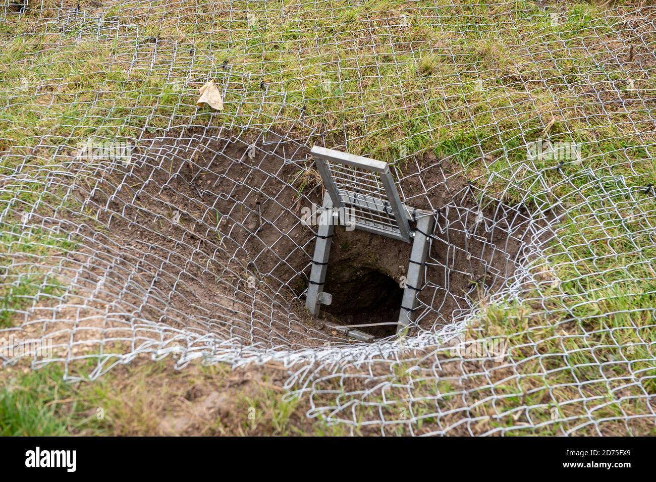 Badgers uk sett hi-res stock photography and images - Alamy