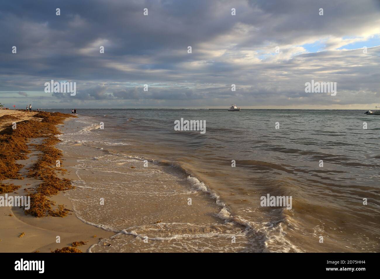 Mesmerizing shot ocean wave hi-res stock photography and images - Alamy