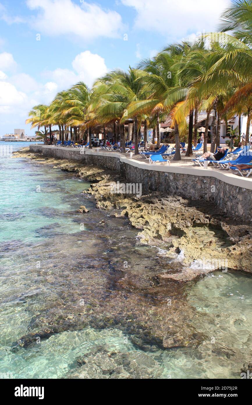 Beautiful ocean and tropical shoreline in Cozumel, Island Stock Photo ...