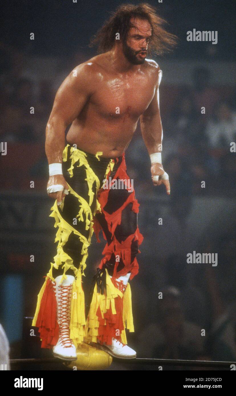 Randy Savage, was 1995, Photo By John Barrett/PHOTOlink Photo via ...