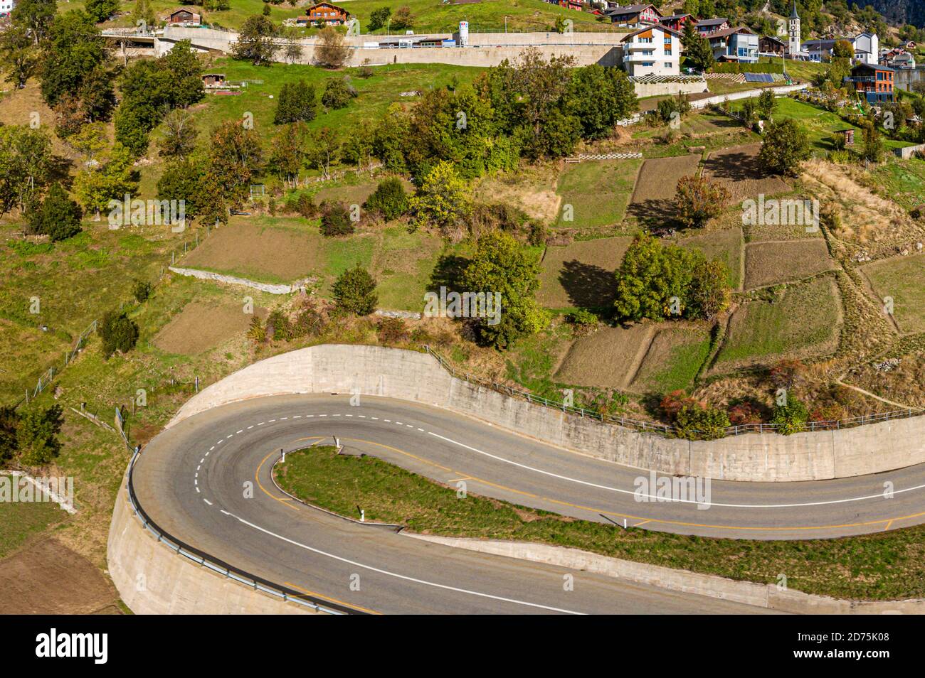 Saffron cultivation, harvest and processing in Mund, Naters ...