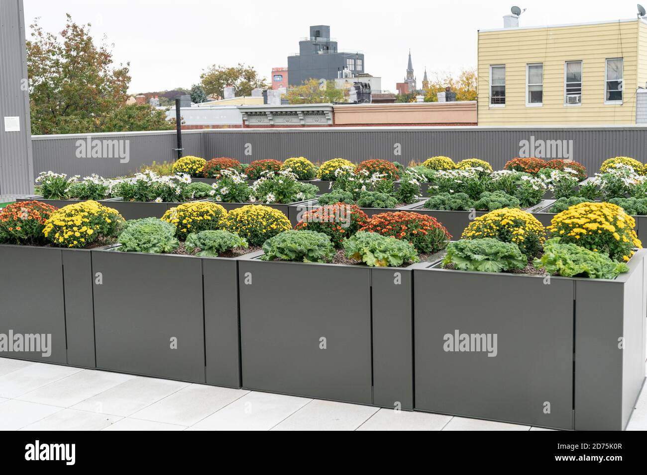 New York, NY - October 20, 2020: View of Demonstration Garden of New ...