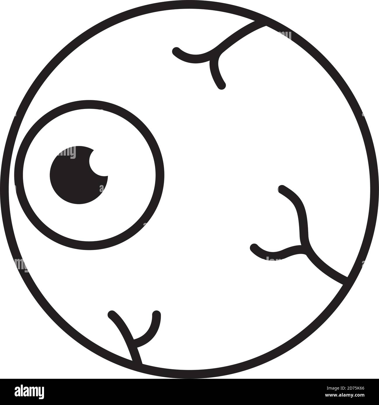 Eye retina illustration anatomy Black and White Stock Photos & Images ...