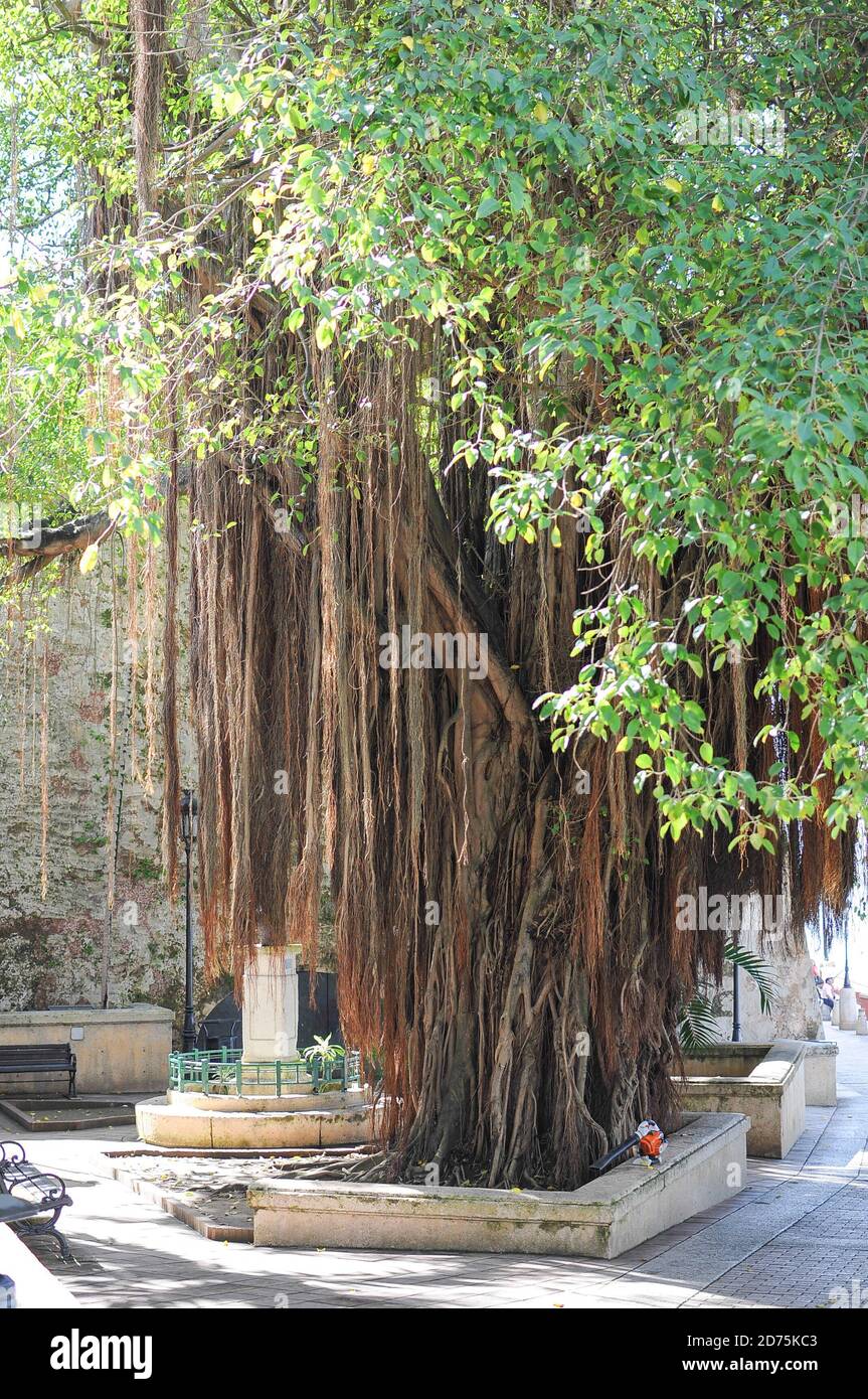 From Old San Juan High Resolution Stock Photography and Images - Alamy