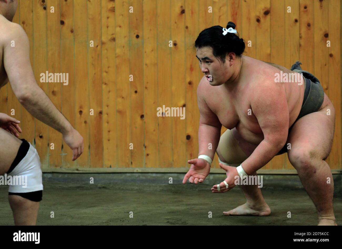 Japanese Sumo wrestlers training inside a traditional Sumo stable in ...
