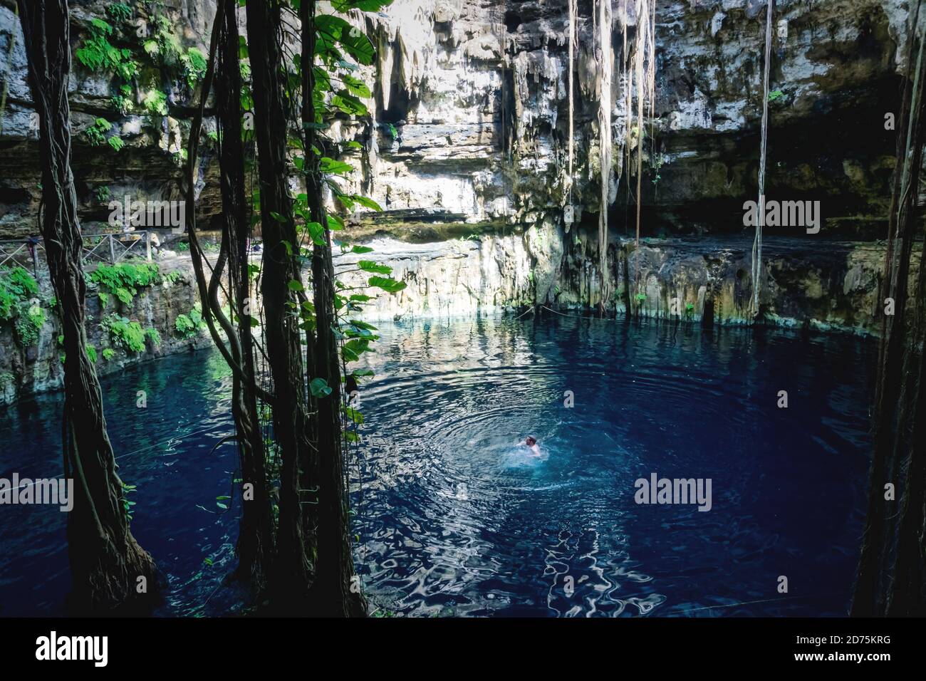 Man swimming Oxman cenote with dark blue water and tropical plants in ...