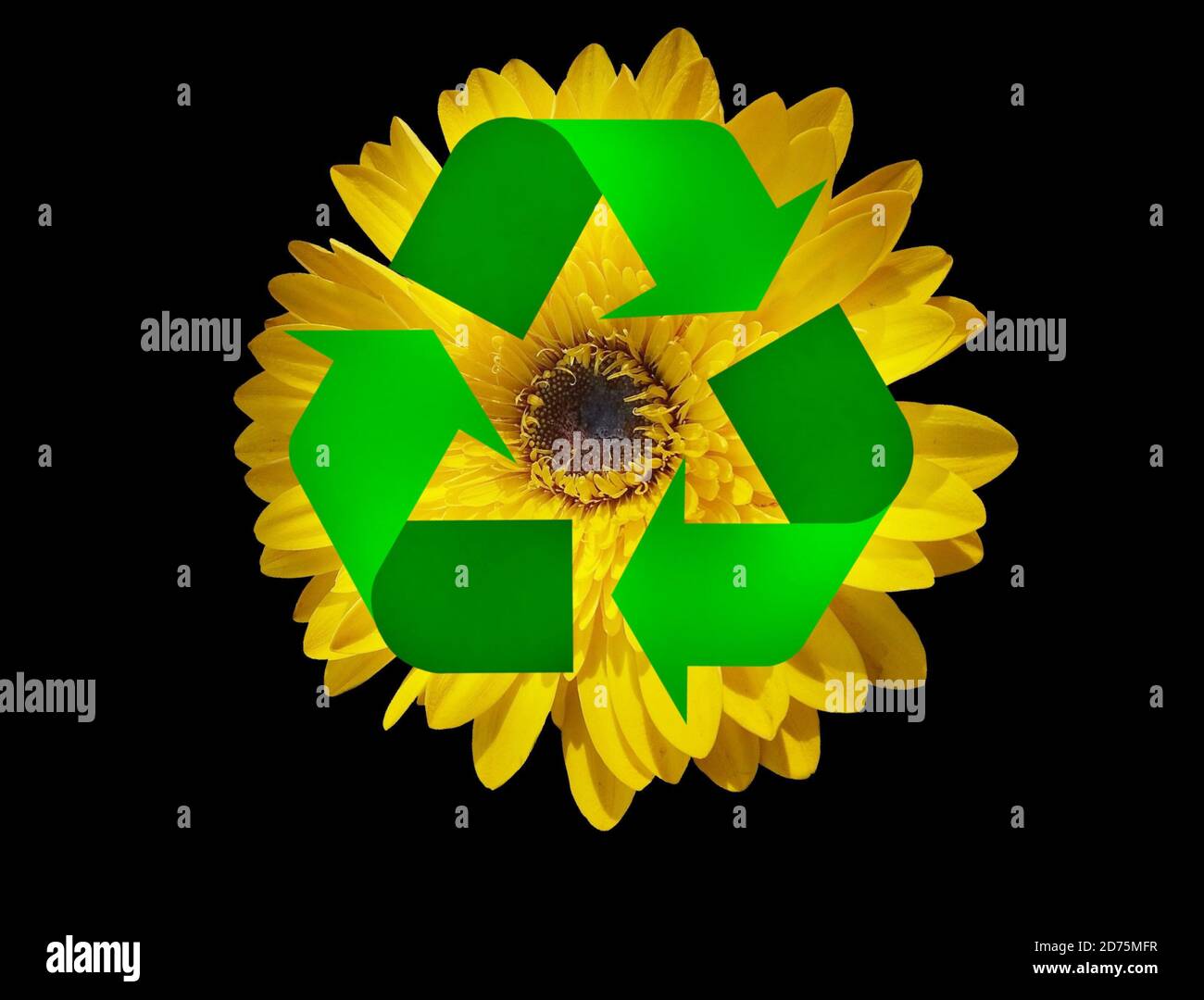 Recycle symbol with flowers Stock Photo - Alamy