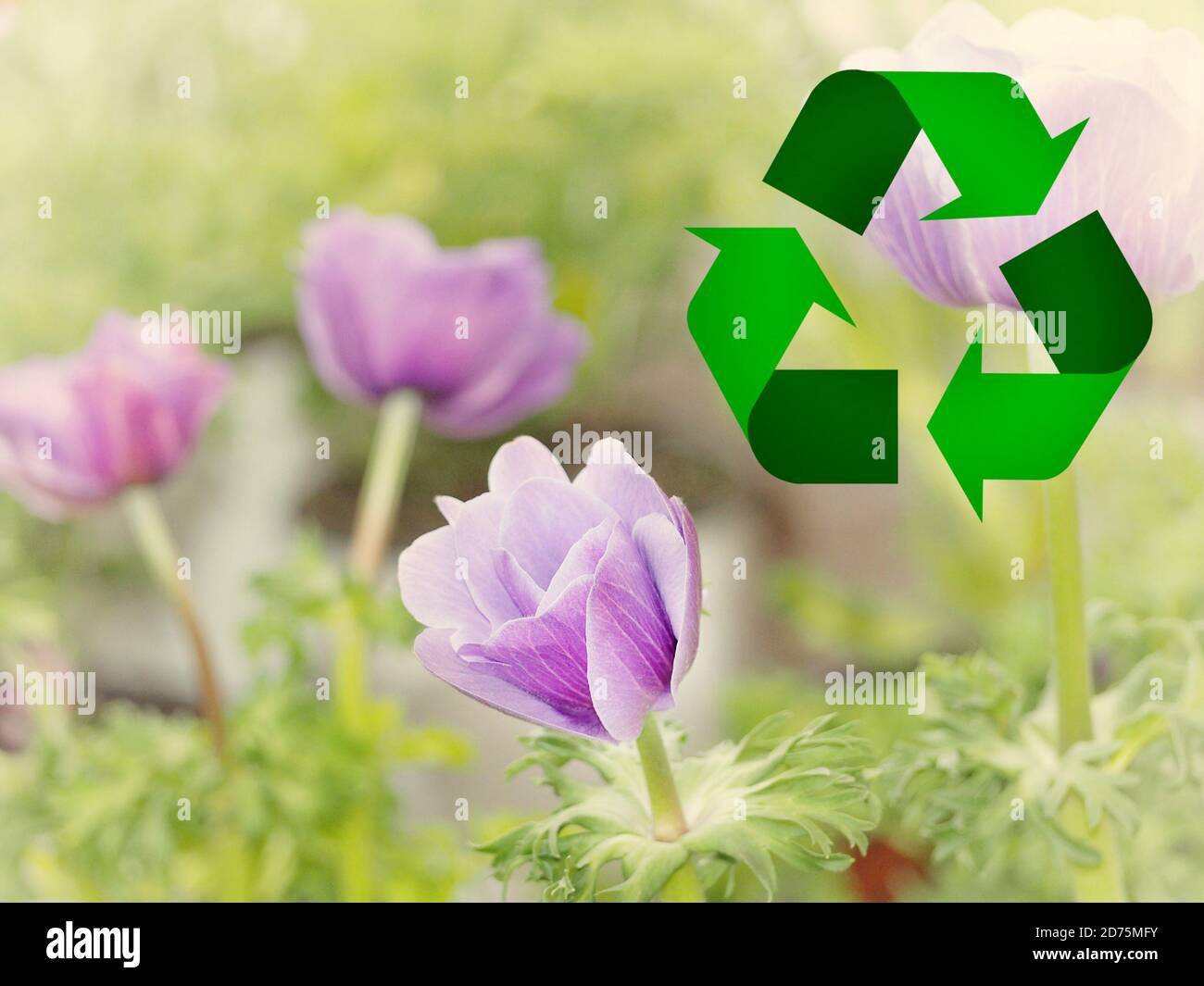 Recycle symbol with flowers Stock Photo - Alamy