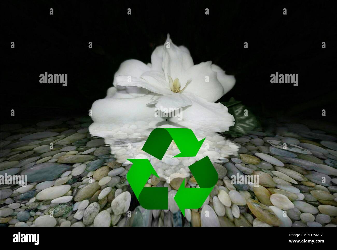 Recycle symbol with flowers Stock Photo - Alamy