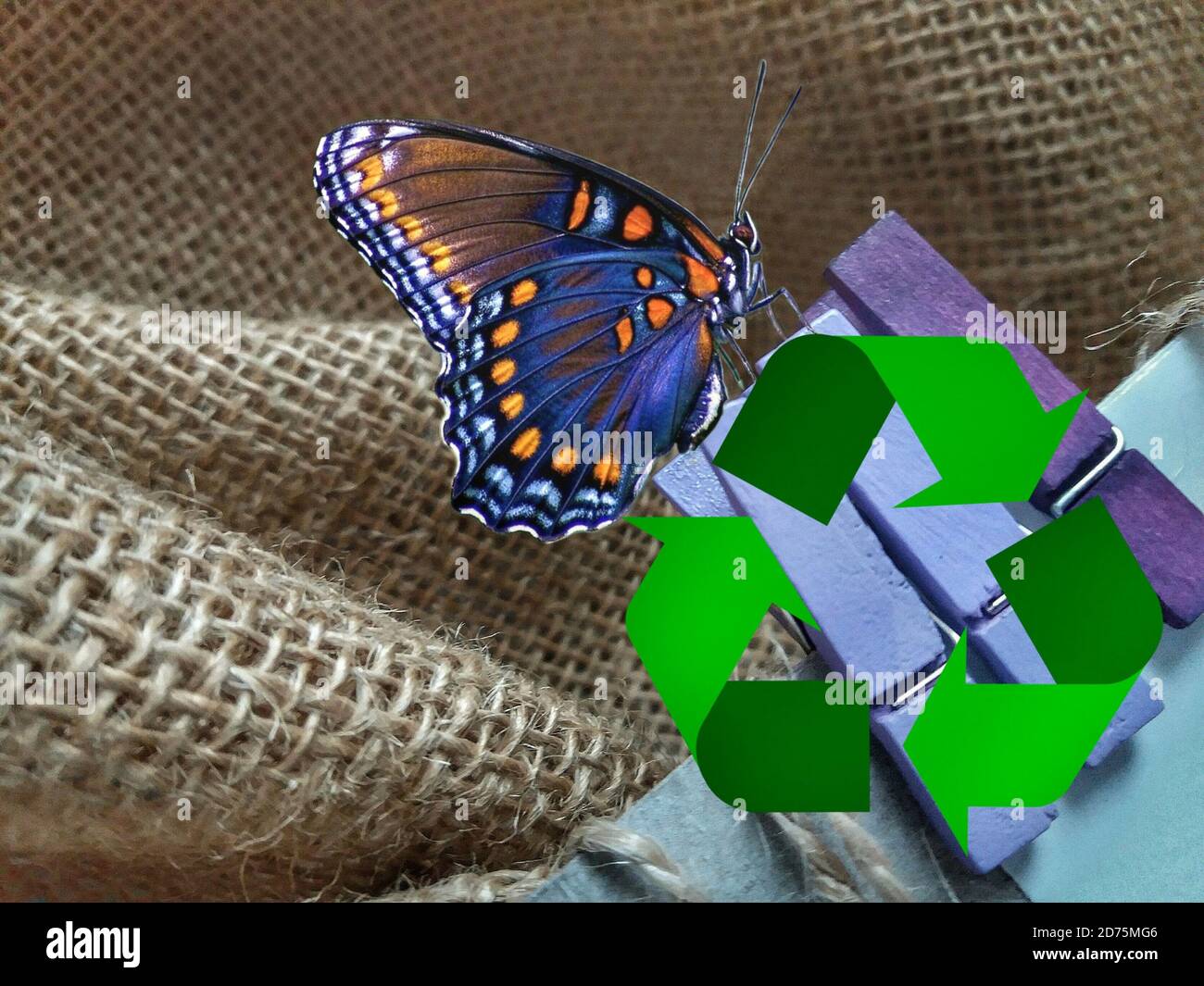 Recycle symbol with flowers Stock Photo - Alamy