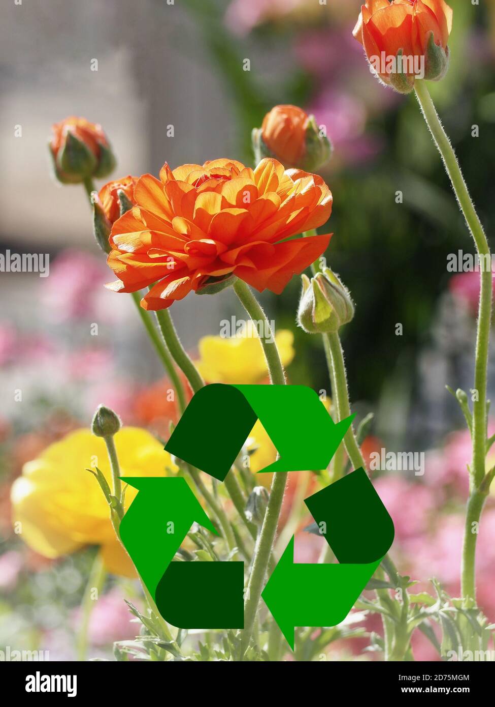 Recycle symbol with flowers Stock Photo - Alamy