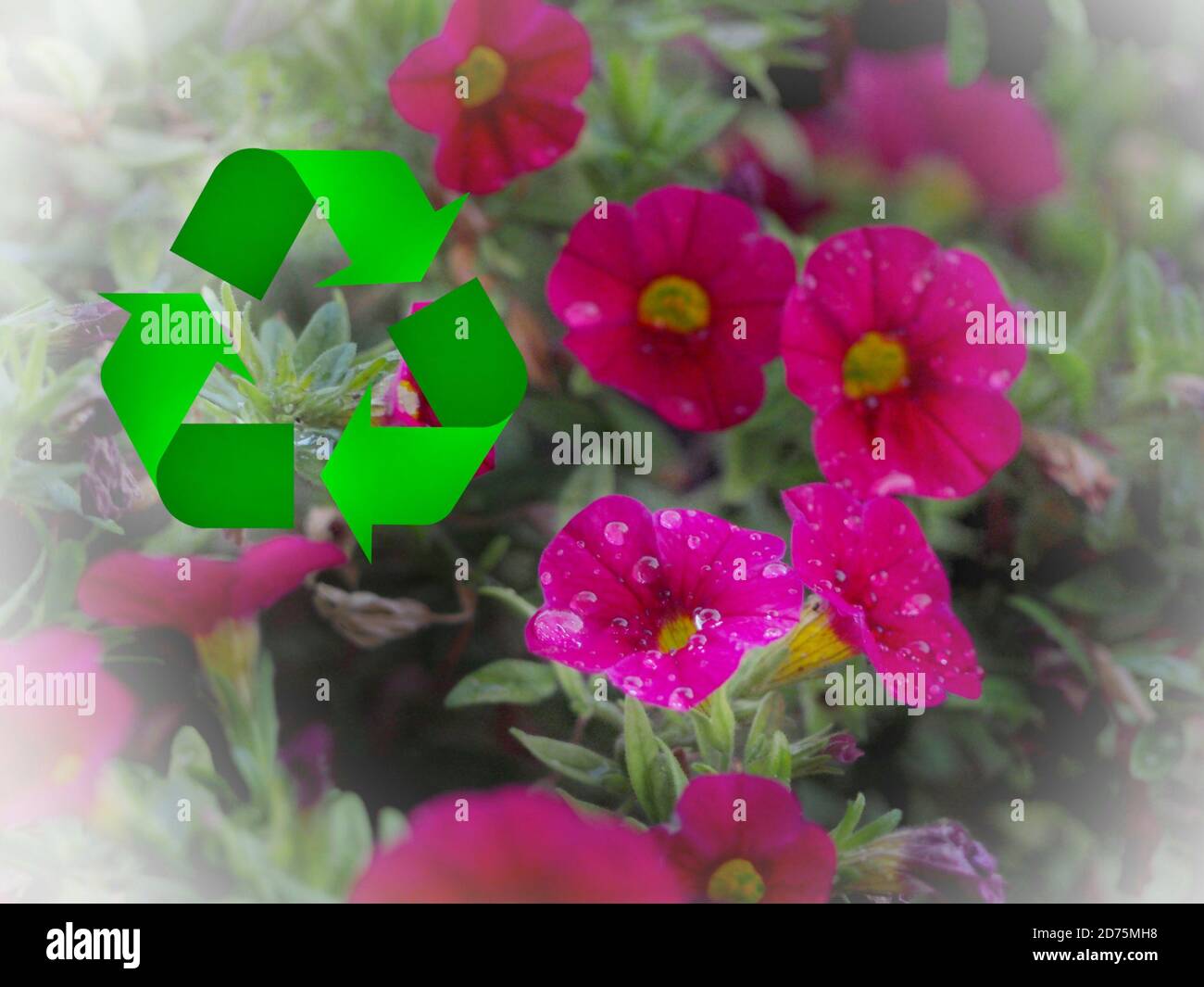 Recycle symbol with flowers Stock Photo - Alamy