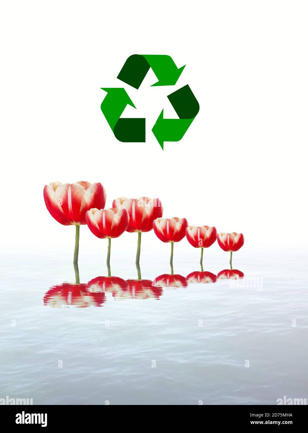 Recycle symbol with flowers Stock Photo - Alamy