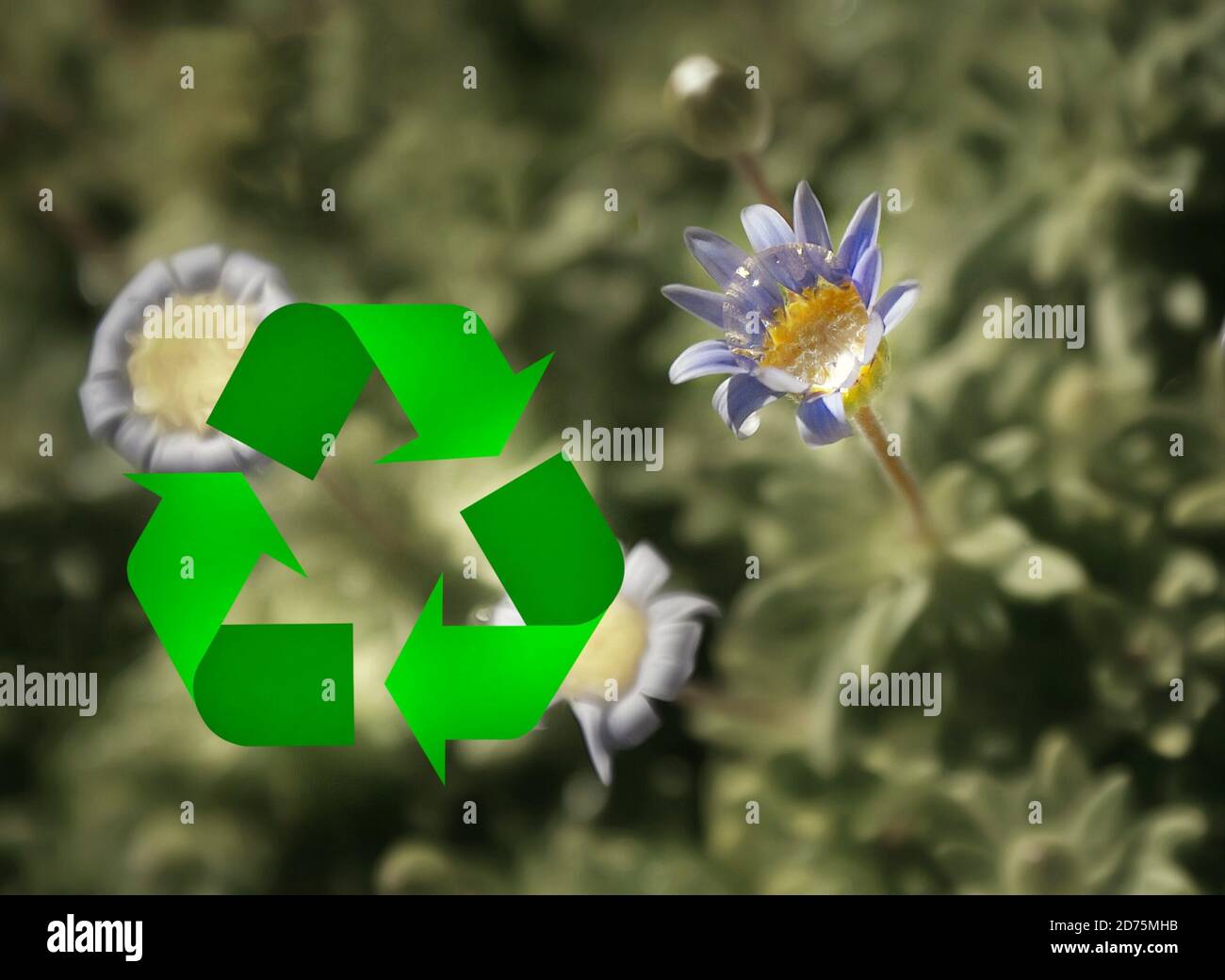 Recycle symbol with flowers Stock Photo - Alamy