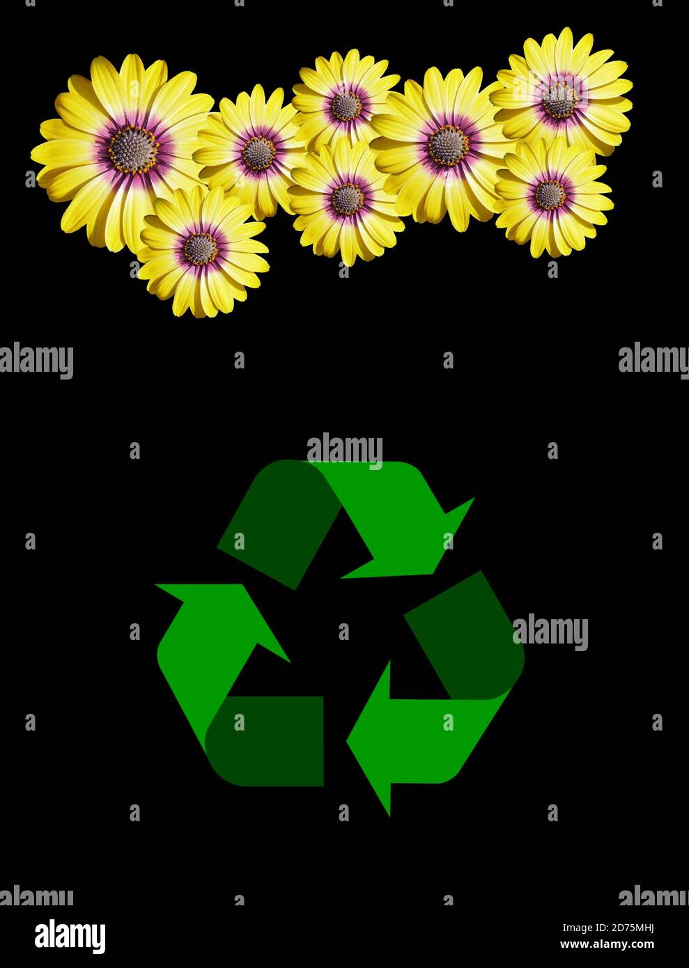 Recycle symbol with flowers Stock Photo - Alamy