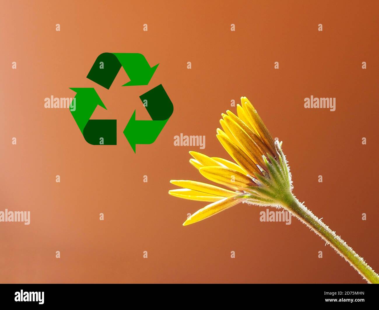 Recycle symbol with flowers Stock Photo - Alamy