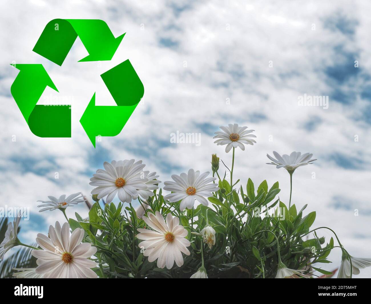 Recycle symbol with flowers Stock Photo - Alamy