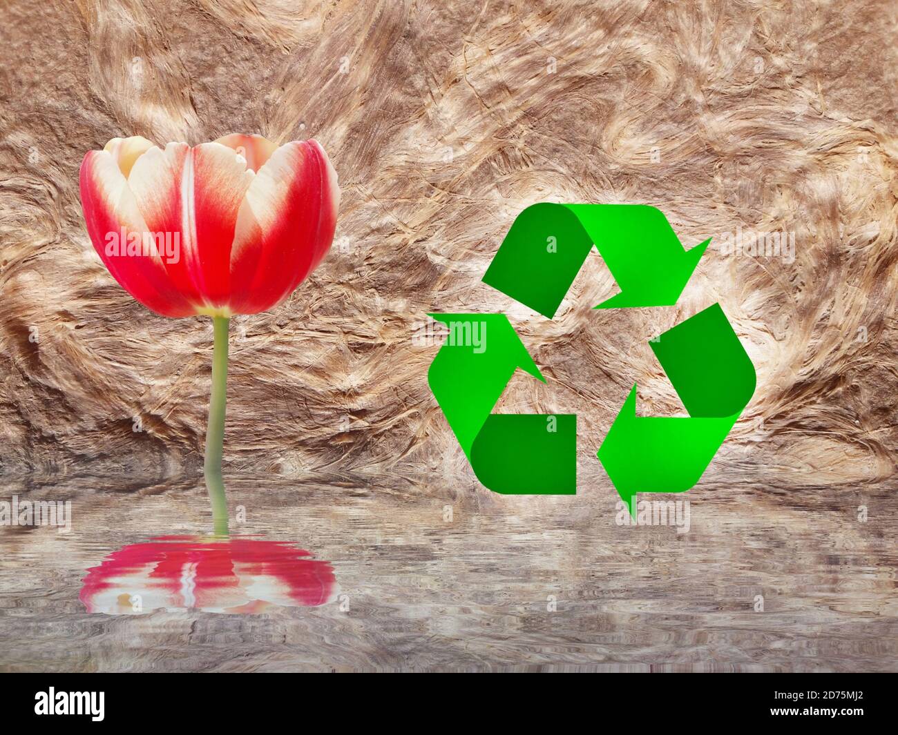 Recycle symbol with flowers Stock Photo - Alamy