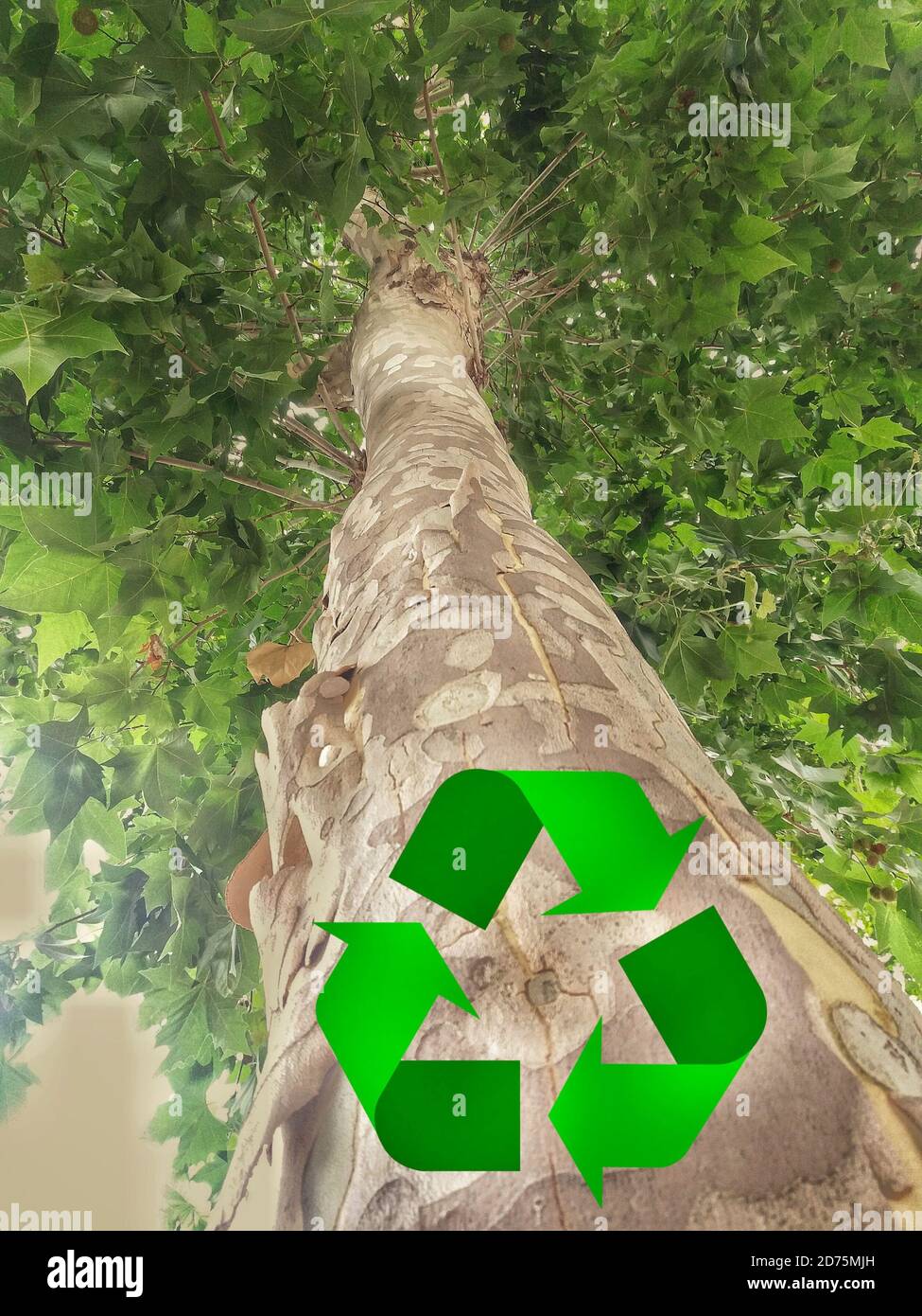 Recycle symbol with flowers Stock Photo - Alamy