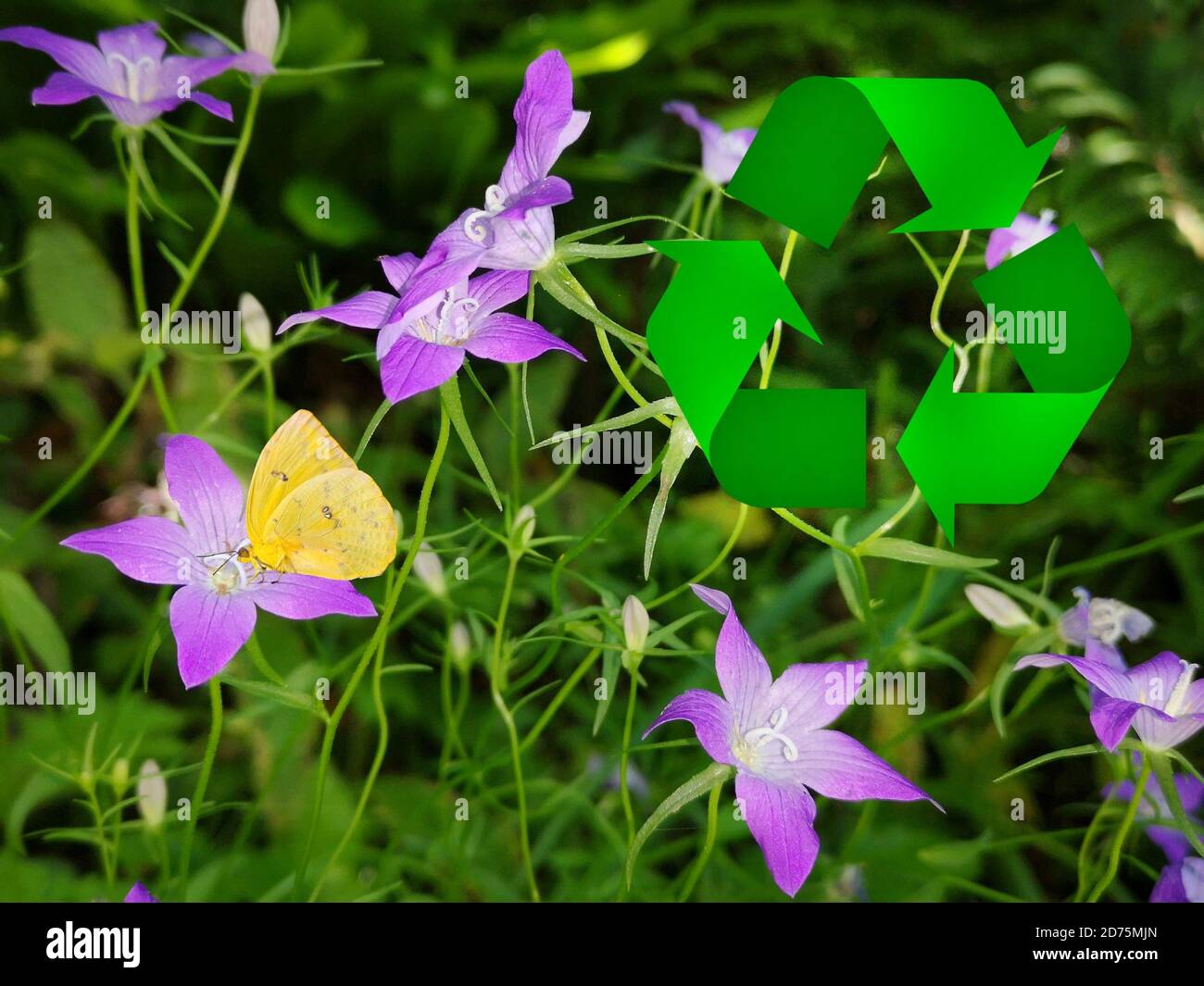 Recycle symbol with flowers Stock Photo - Alamy