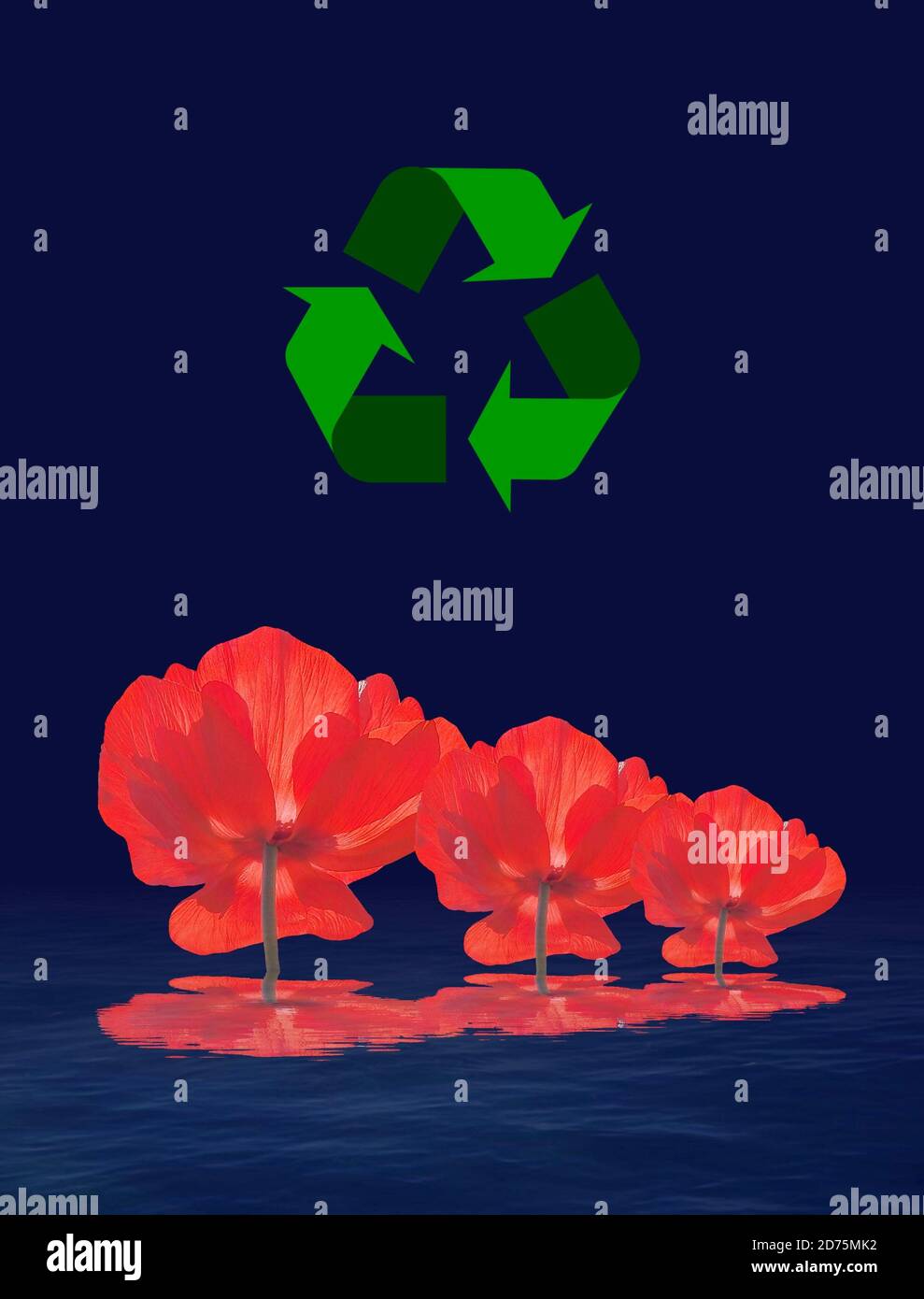 Recycle symbol with flowers Stock Photo - Alamy