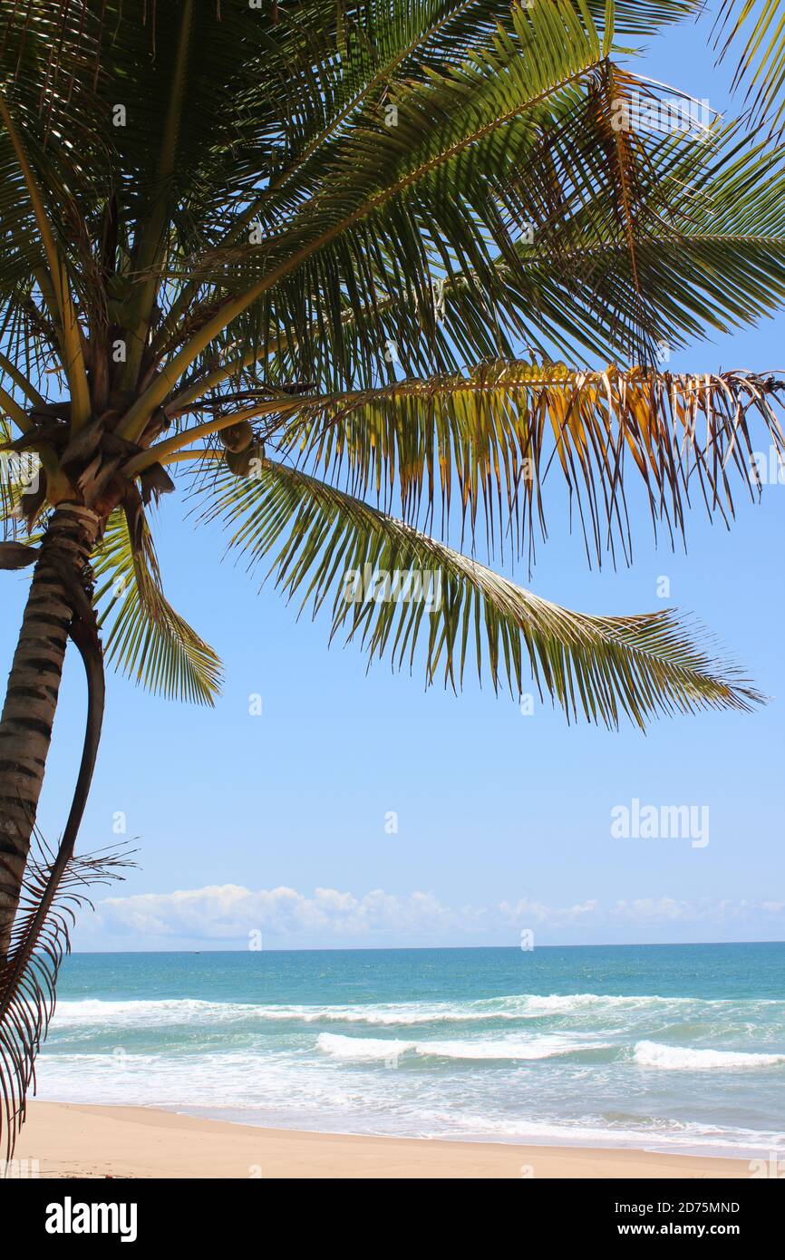 Sunny day in a Desert Beach in Brazil Stock Photo - Alamy
