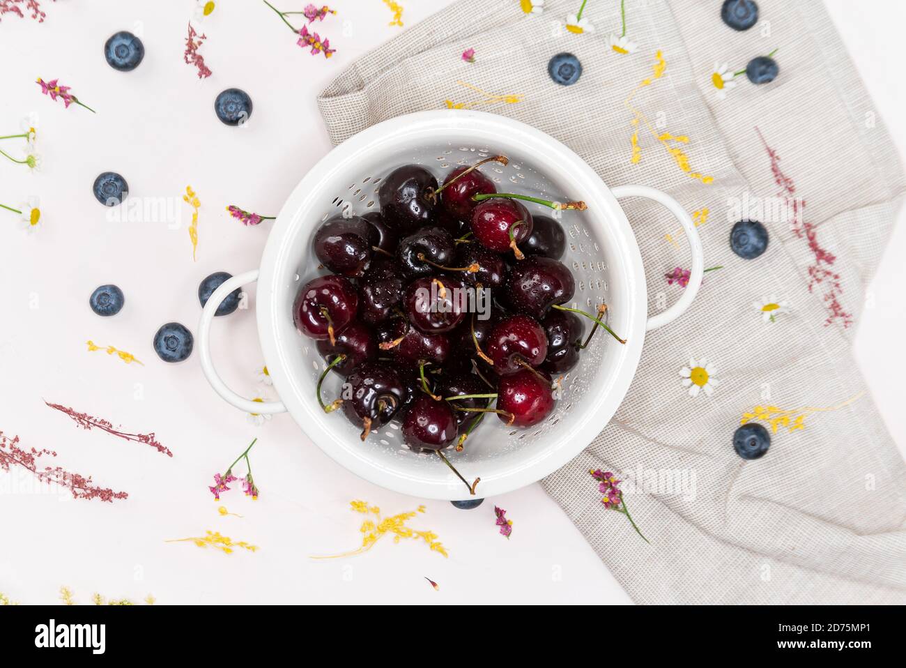 Shot from above of cherries inside of a strainer on a pink background ...