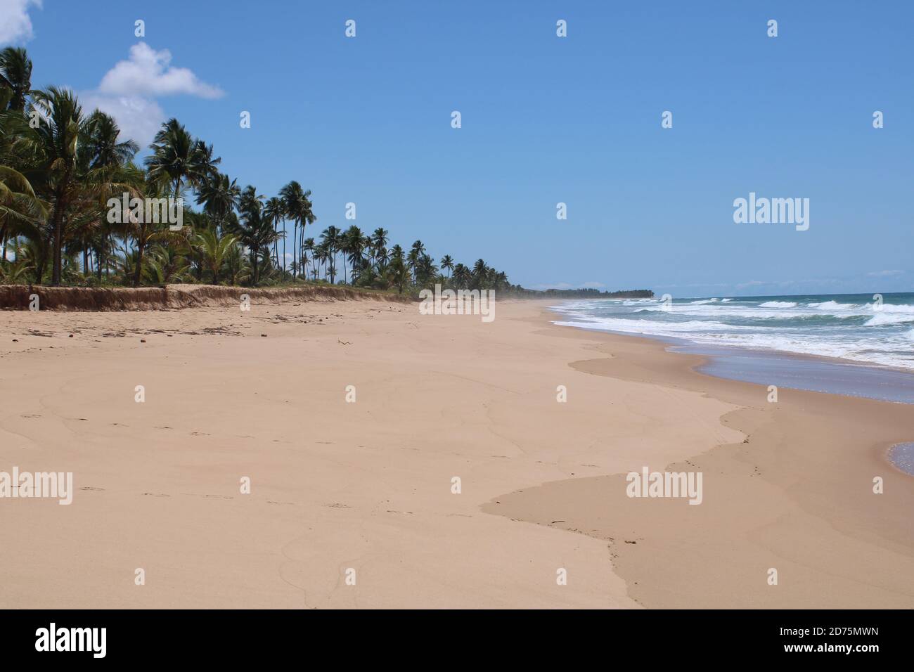 Sunny day in a Desert Beach in Brazil Stock Photo - Alamy